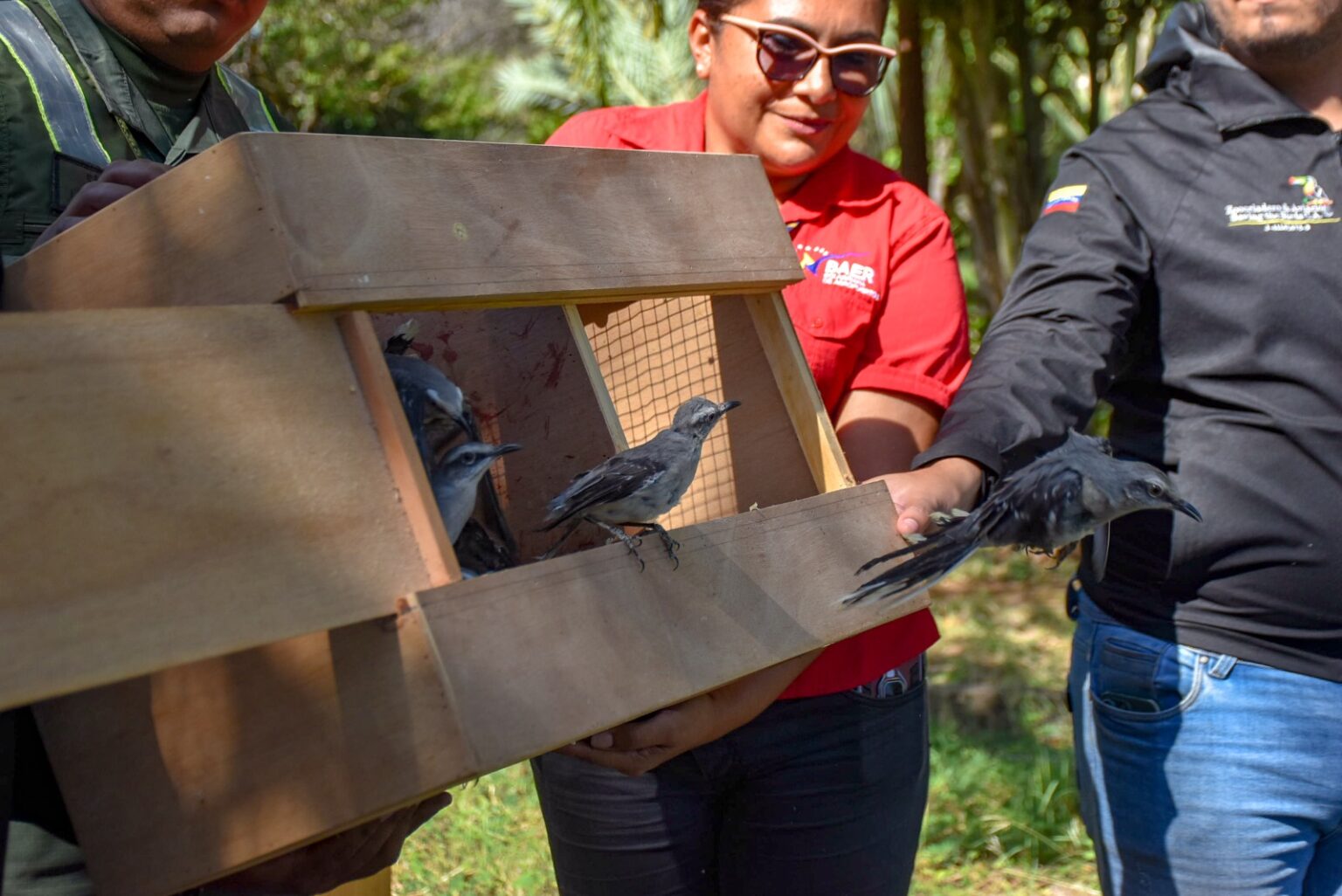 Liberan más de 100 aves silvestres en el Jardín Botánico de Maracaibo ...